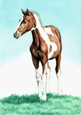 Western Equine Art - Horse Art by Janet Griffin-Scott